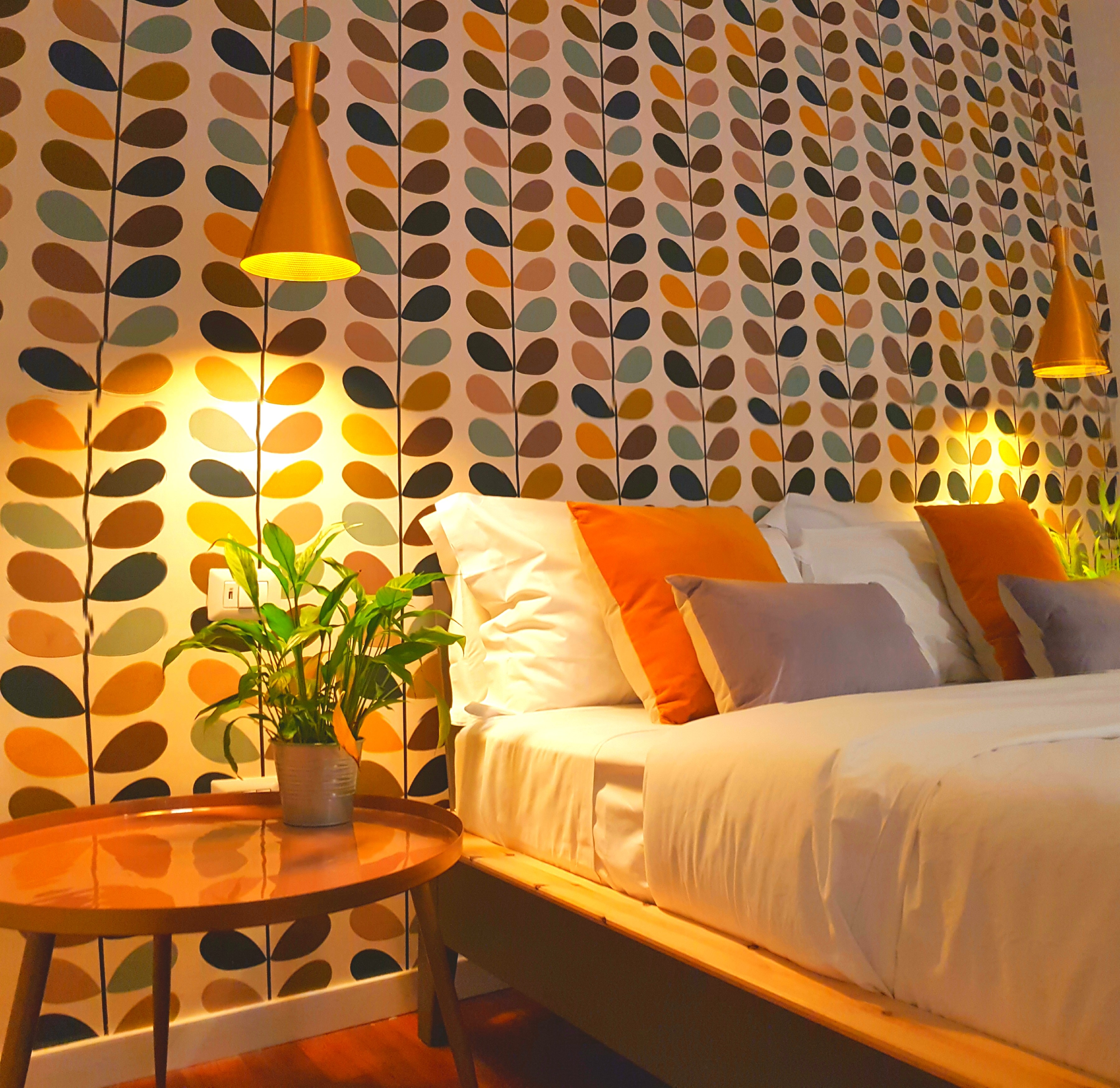 Leccio — Napoli Tree